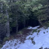 Rampart Ridge Loop, Washington - 2,104 Reviews, Map | AllTrails