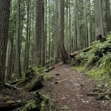 Rampart Ridge Loop, Washington - 2,104 Reviews, Map | AllTrails