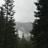 Rampart Ridge Loop, Washington - 2,104 Reviews, Map | AllTrails