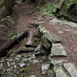 Rampart Ridge Loop, Washington - 2,104 Reviews, Map | AllTrails