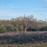 Coundon Wedge Circular, West Midlands, England - 235 Reviews, Map ...