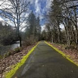 Chehalis Western Trail, Washington - 546 Reviews, Map | AllTrails