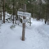 Mount Jackson Trail, New Hampshire - 1,885 Reviews, Map | AllTrails