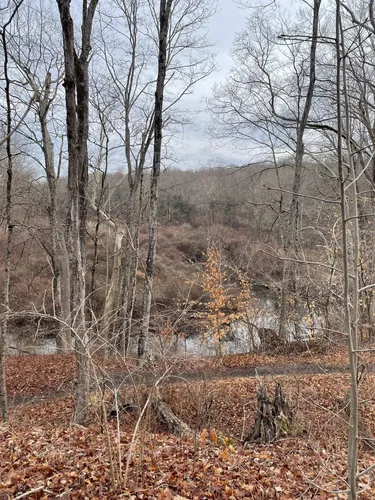 Best Hikes and Trails in Tyler Mill Preserve | AllTrails