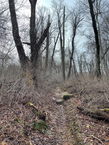 Best Hikes and Trails in Tyler Mill Preserve | AllTrails