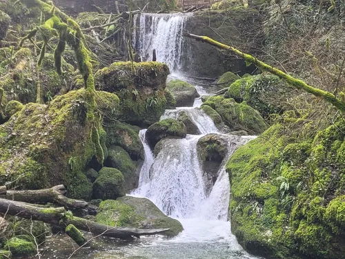 10 Best Trails and Hikes in Basel-Country | AllTrails