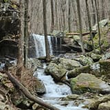 Emory Gap Falls Trail, Tennessee - 788 Reviews, Map | AllTrails