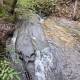 Chestnut Ridge Heritage Preserve Trail, South Carolina - 1,412 Reviews ...