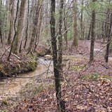 Chestnut Ridge Heritage Preserve Trail, South Carolina - 1,495 Reviews ...