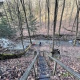 Tinker Falls Upper, New York - 524 Reviews, Map | AllTrails