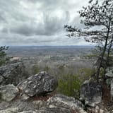 George W. Disney Trail, Georgia - 524 Reviews, Map | AllTrails