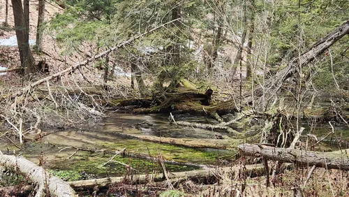 Best Hikes and Trails in Allan and Virginia McCune Nature Preserve ...