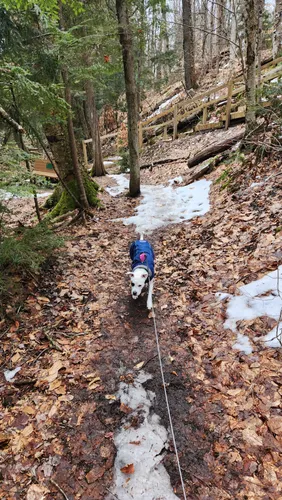 Best Hikes and Trails in Allan and Virginia McCune Nature Preserve ...