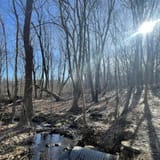 Broad Meadow Brook Trail, Massachusetts - 831 Reviews, Map | AllTrails