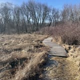 Broad Meadow Brook Trail, Massachusetts - 831 Reviews, Map | AllTrails