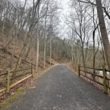 Jackson River Trail, Virginia - 120 Reviews, Map | AllTrails