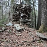 Fiery Gizzard Loop, Tennessee - 1,139 Reviews, Map | AllTrails