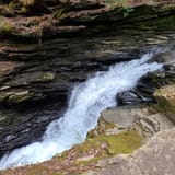Fiery Gizzard Loop, Tennessee - 1,139 Reviews, Map | AllTrails