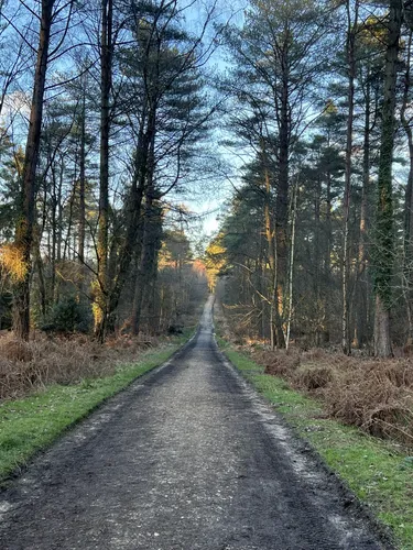 10 Best Hikes and Trails in New Forest National Park | AllTrails