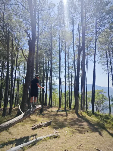 Best Hard Trails in Mt. Pulag National Park | AllTrails