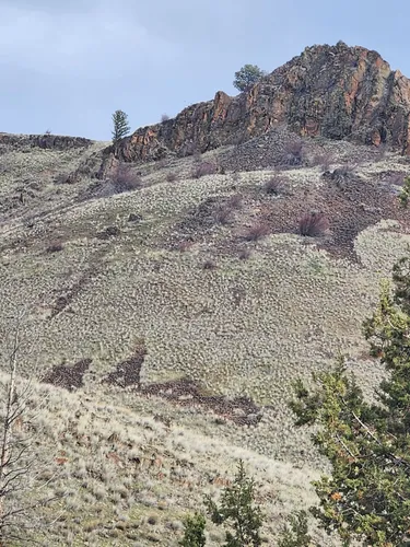 Best Hikes and Trails in Spring Basin Wilderness | AllTrails