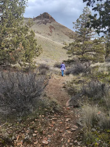 Best Hikes and Trails in Spring Basin Wilderness | AllTrails