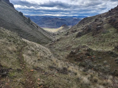 Best Hikes and Trails in Spring Basin Wilderness | AllTrails