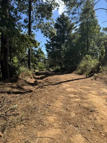 Best Long Trails in Zona de Protección Ambiental Pico Azul - La ...