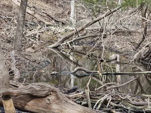 Best Hikes and Trails in Boiling Springs State Park | AllTrails