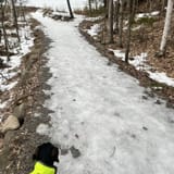 The Flume Fall , New York - 758 Reviews, Map | AllTrails