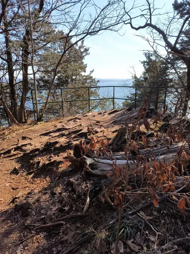 Best Hikes and Trails in Red Rocks Park | AllTrails