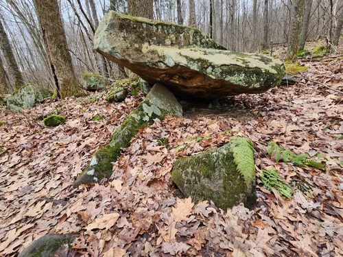 Best Hikes and Trails in Chestnut Ridge Park | AllTrails