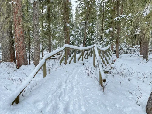 Best Hikes and Trails in Jumpingpound Demonstration Provincial Land ...