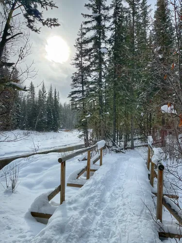 Best Hikes and Trails in Jumpingpound Demonstration Provincial Land ...