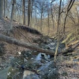 Southern Loop via Western Ridge Trail, Rock Creek, Valley Trail ...