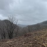 Point Lookout Trail, North Carolina - 626 Reviews, Map | AllTrails