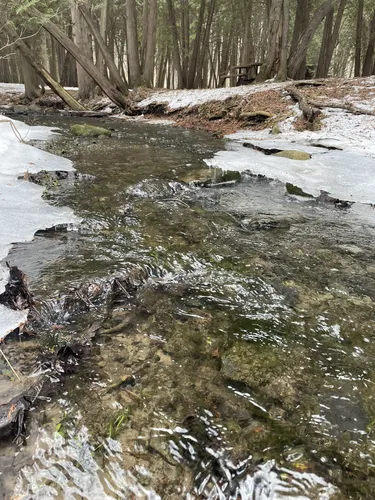 Best Hikes and Trails in Emily Provincial Park | AllTrails