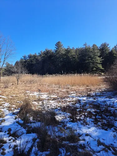 Best Hikes and Trails in Bellamy River Wildlife Mgt. Area | AllTrails