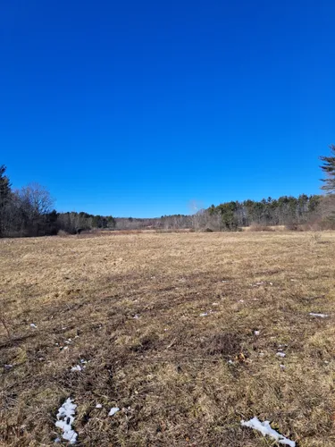 Best Hikes and Trails in Bellamy River Wildlife Mgt. Area | AllTrails