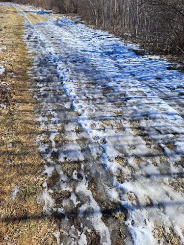 Best Hikes and Trails in Bellamy River Wildlife Mgt. Area | AllTrails