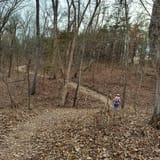 Deer Run Trail, Missouri - 822 Reviews, Map | AllTrails