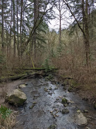 Best Hikes and Trails in Lowami Hart Woods Natural Area | AllTrails