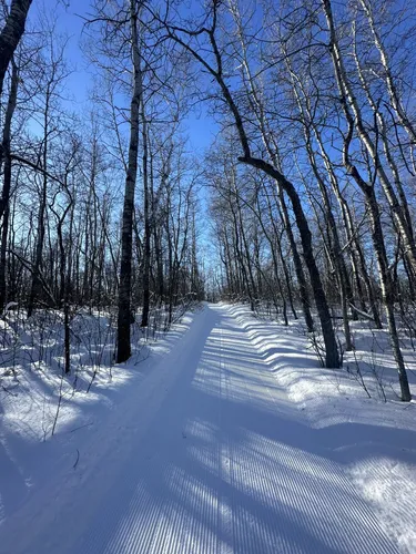 Best Hikes and Trails in Kenosee Lake | AllTrails