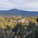 Carlito Springs Loop, New Mexico - 462 Reviews, Map | AllTrails