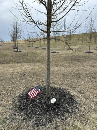 Best Hikes and Trails in Mount Trashmore Park | AllTrails