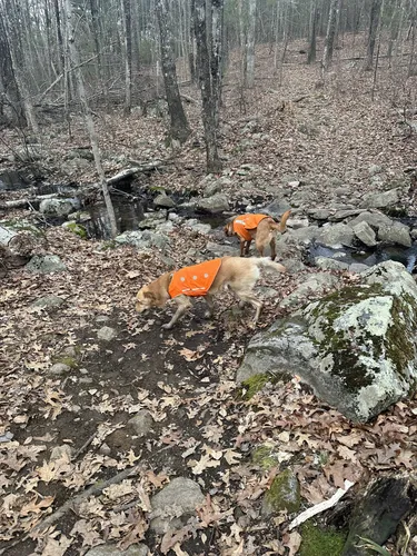 Best Hikes and Trails in Snake Den State Park | AllTrails