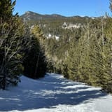 Tallman Ranch via Bridge Creek Trailhead, Colorado - 459 Reviews, Map ...