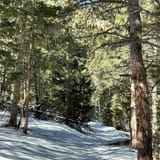 Tallman Ranch via Bridge Creek Trailhead, Colorado - 459 Reviews, Map ...