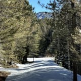 Tallman Ranch via Bridge Creek Trailhead, Colorado - 459 Reviews, Map ...