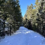 Tallman Ranch via Bridge Creek Trailhead, Colorado - 459 Reviews, Map ...